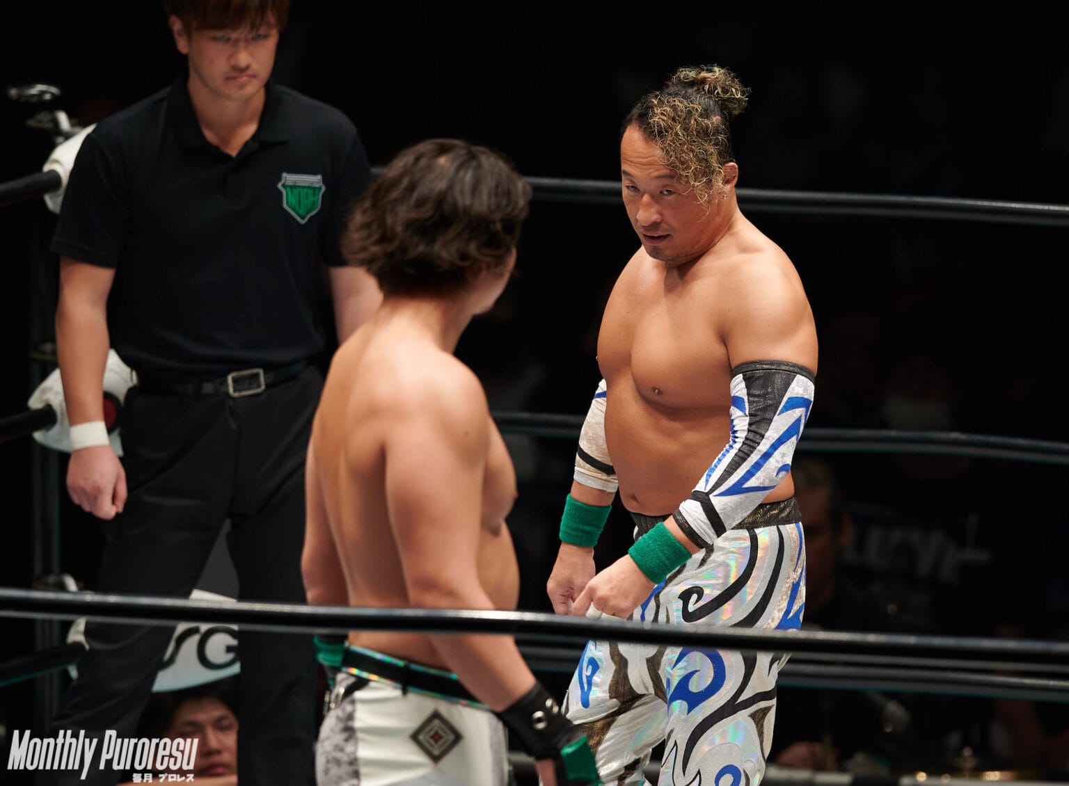 25 Years of Naomichi Marufuji and the Genius of the Ark - Monthly Puroresu